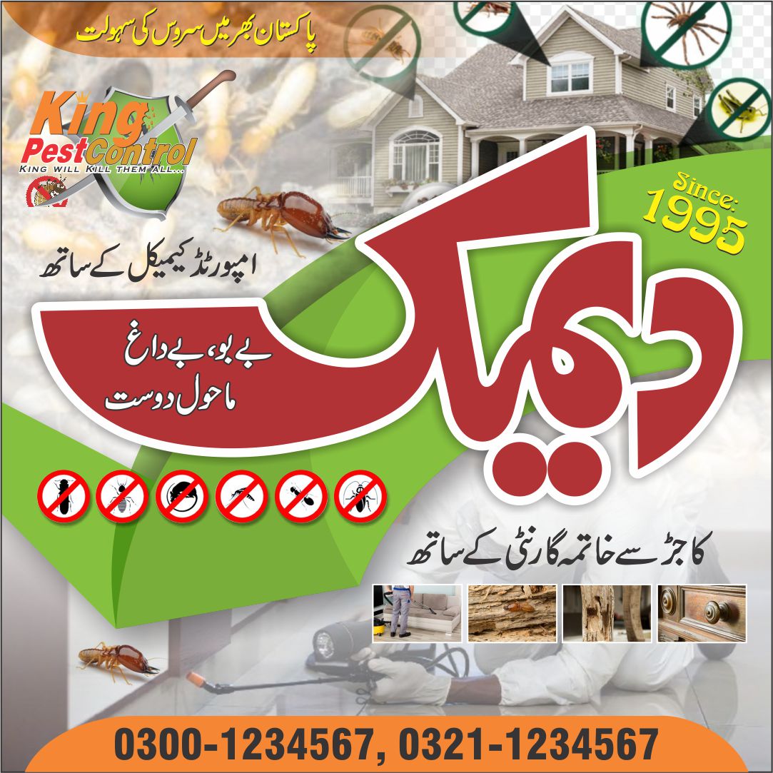 Termite Treatment in Lahore | Pest control services in Lahore | King Pest