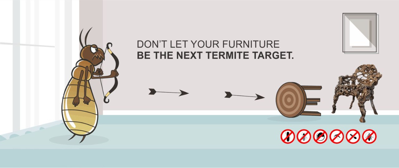 Termite Treatment in Lahore | Pest control services in Lahore | King Pest