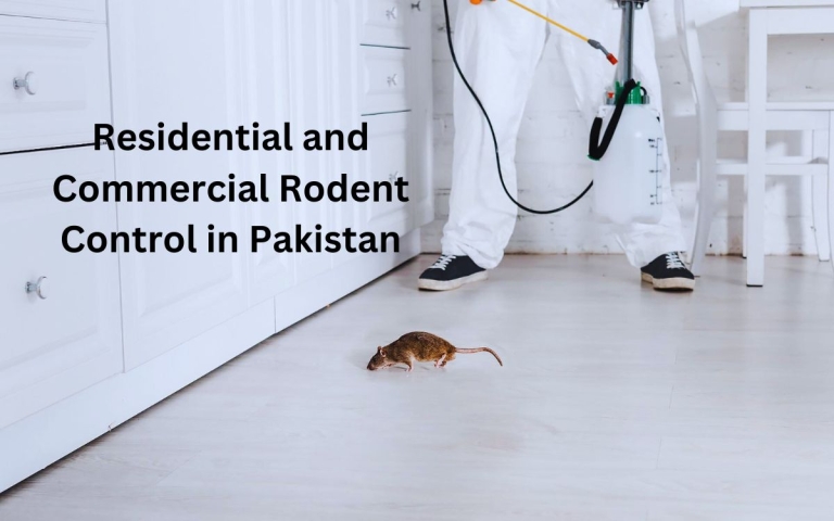 Residential and Commercial Rodent Control Method in Pakistan