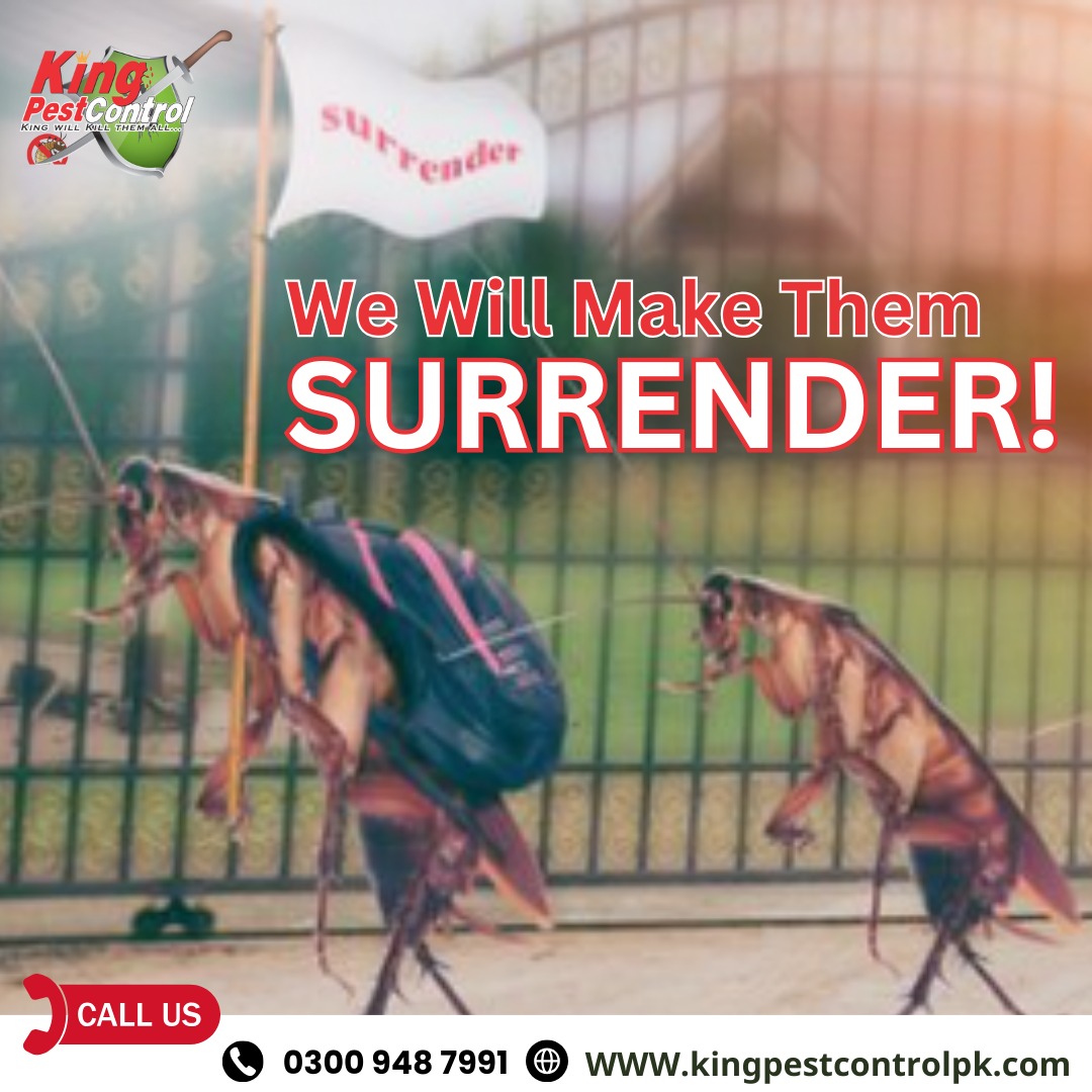 Bed Bugs Killer Spray Treatment and Control Services in Lahore