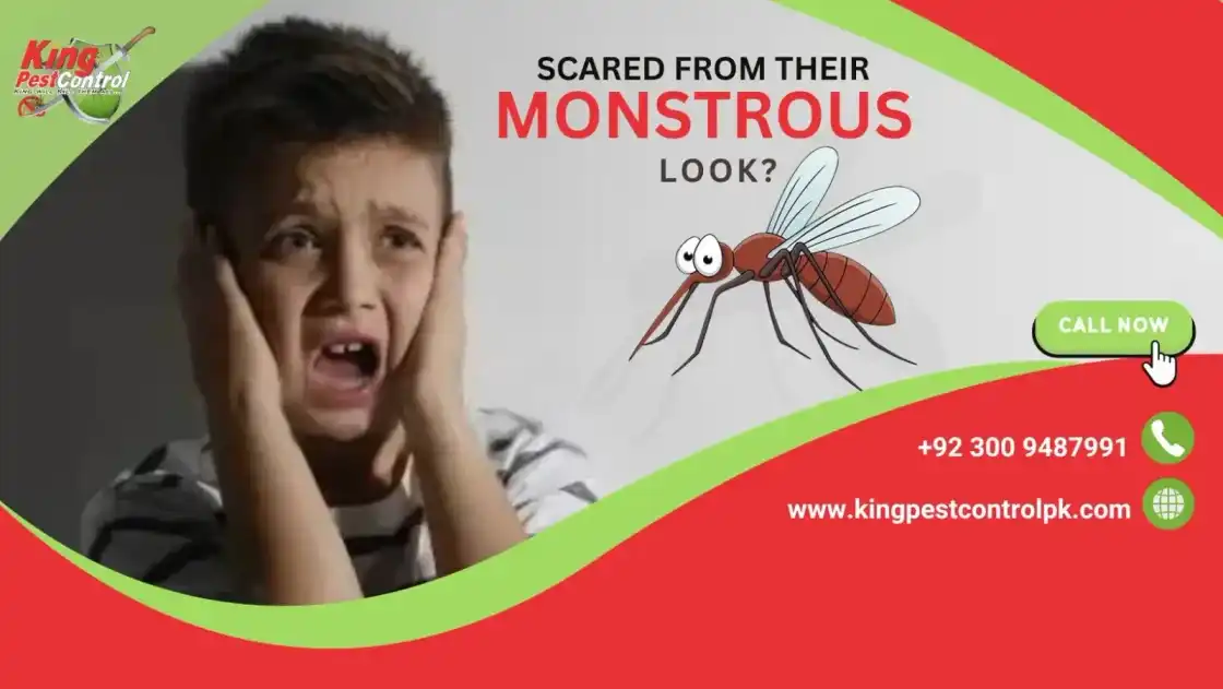 Expert Dengue Killer Spray & Mosquito Control Services in Lahore